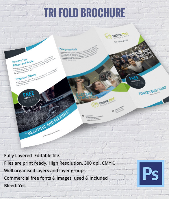 Tri Fold Brochure Template Psd Free Download Westernfrog