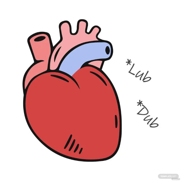 17+ Heart Diagram Templates - Sample, Example, Format Download