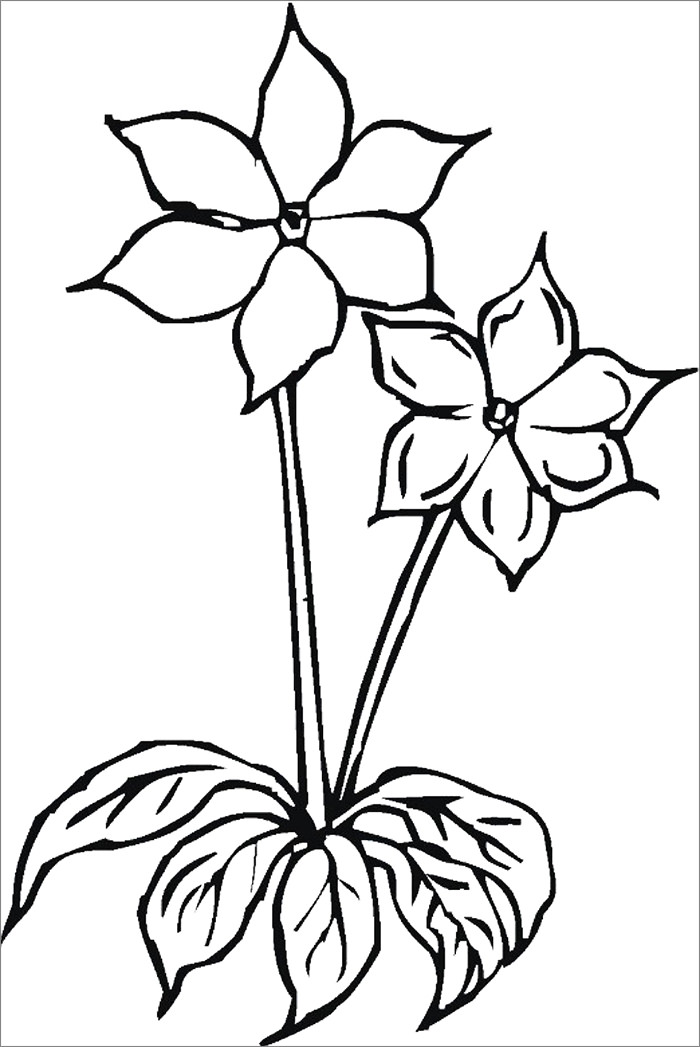 Flower Template - Free Templates