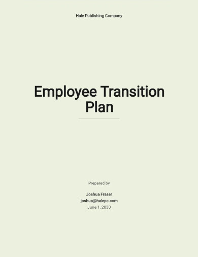 26+ Transition Plan Templates - Free Word, PDF Documents Download!