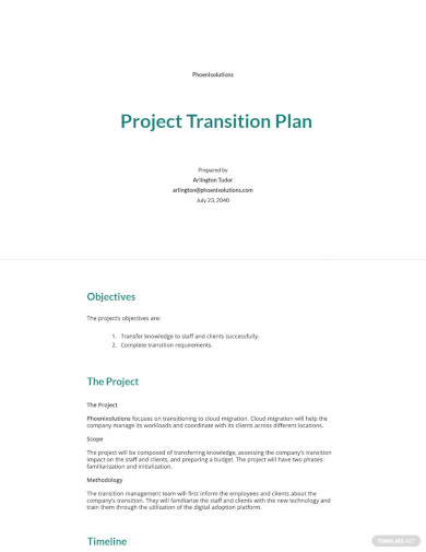 26+ Transition Plan Templates - Free Word, PDF Documents Download!