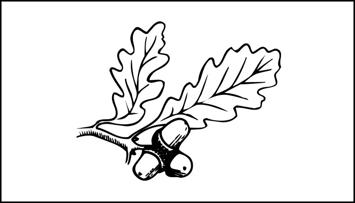 Leaf Template Printable Leaf Templates Free Premium Templates