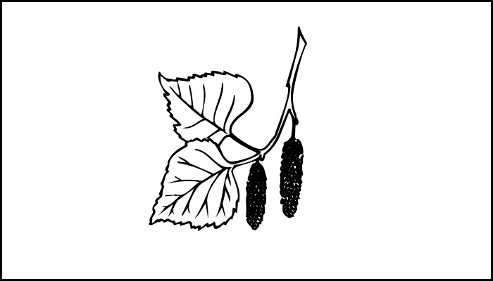 Leaf Template Printable Leaf Templates