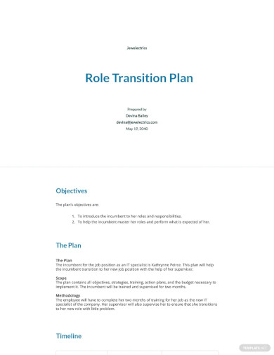 26+ Transition Plan Templates - Free Word, PDF Documents Download!