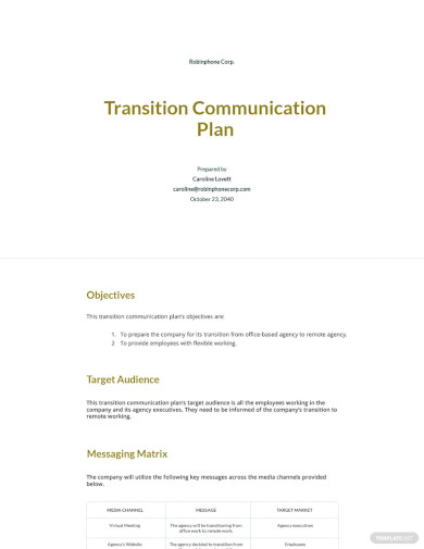 26+ Transition Plan Templates - Free Word, PDF Documents Download!