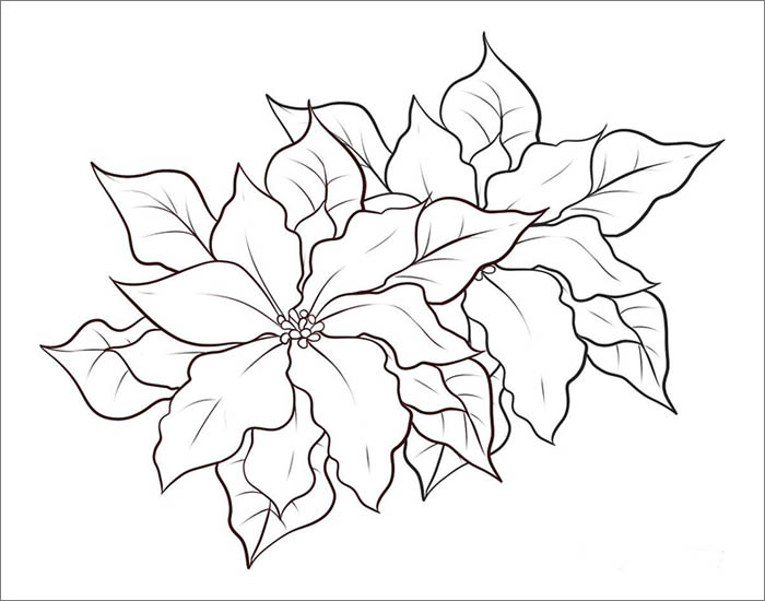 Flower Template - Free Templates