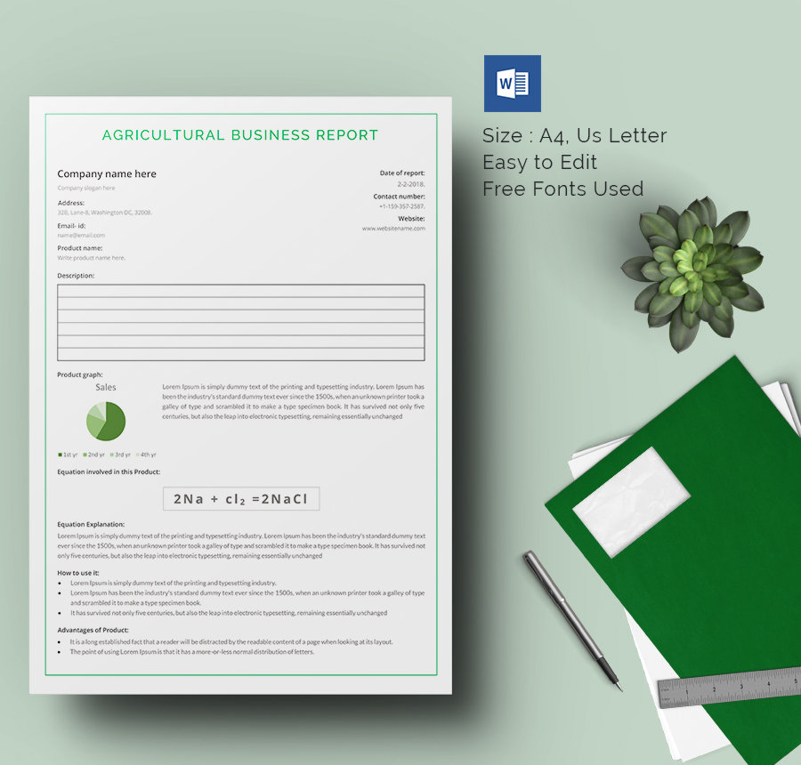 44+ Business Report Templates - Google Docs, Apple Pages, MS Word, PDF