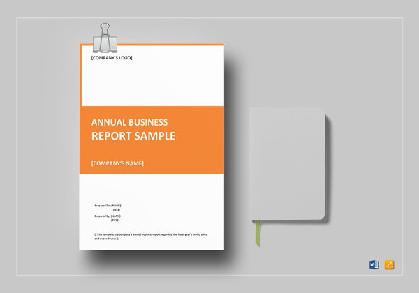 44+ Business Report Templates - Google Docs, Apple Pages, MS Word, PDF