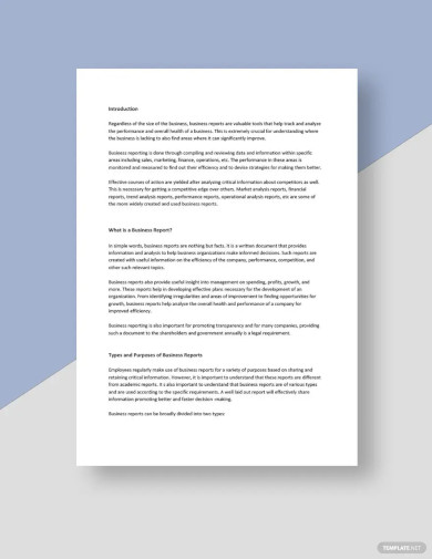 44+ Business Report Templates - Google Docs, Apple Pages, MS Word, PDF