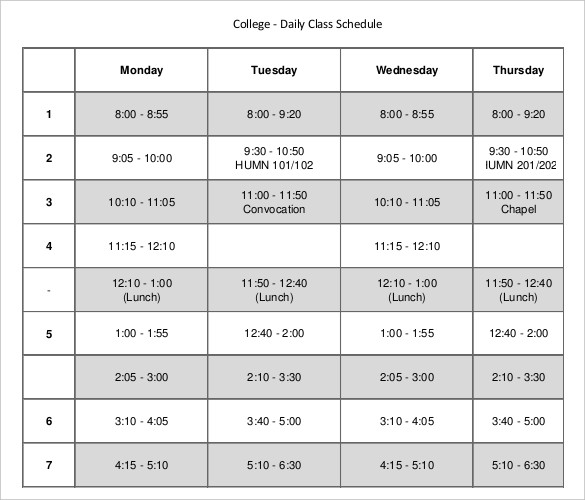 Daily Schedule Template 39 Free Word Excel PDF Documents Download