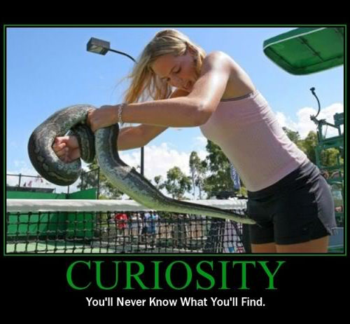 Demotivational Poster 10 Free Templates In Word PDF PSD PNG JPG 
