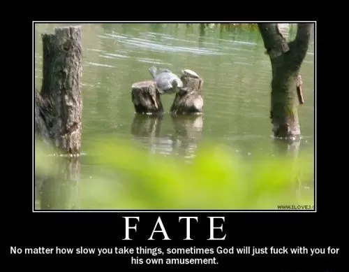 Demotivational Poster 10 Free Templates In Word PDF PSD PNG JPG 