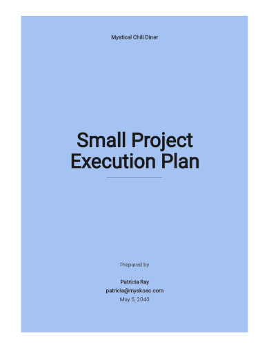 25+ Project Execution Plan Templates - Word, PDF, Excel, Apple Pages