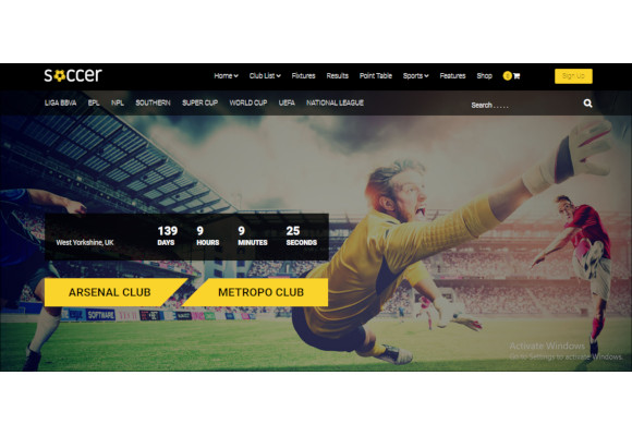 13+ Football WordPress Themes & Templates