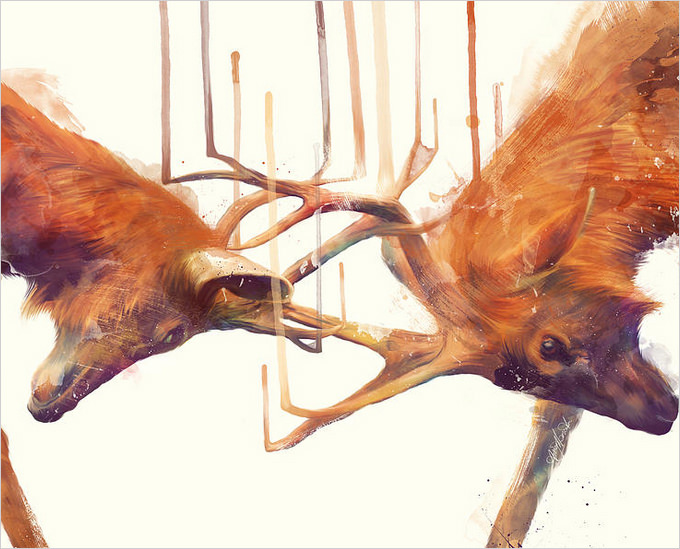 24+ Free Deer Drawings & Designs