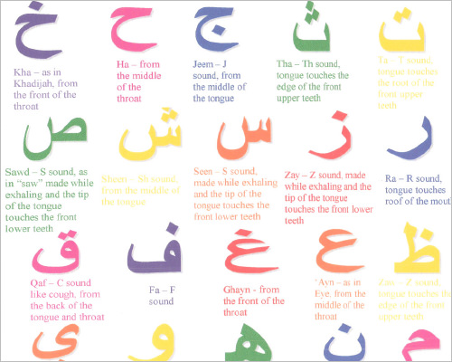 24+ Arabic Alphabet Letters to Download - PSD, PDF