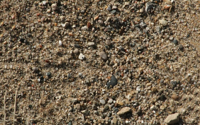 25+ Sand Textures - JPG, PSD, AI