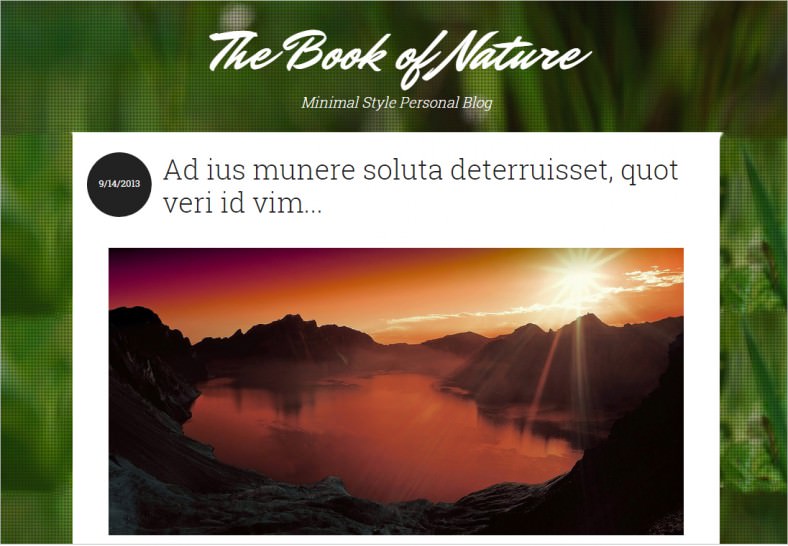 6+ Best Book Blogger Templates & Themes