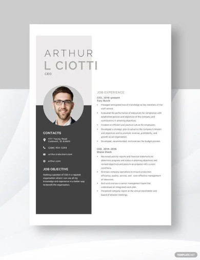 CEO Resume Template - 12+ Samples, Examples, Format Download!
