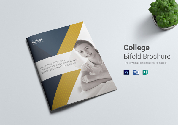 43 School Brochure PSD Templates Designs
