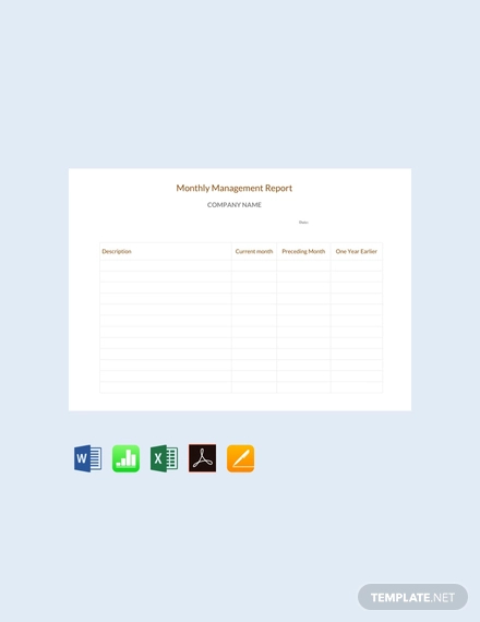 40+ Monthly Management Report Templates in PDF | Google Docs | Excel ...
