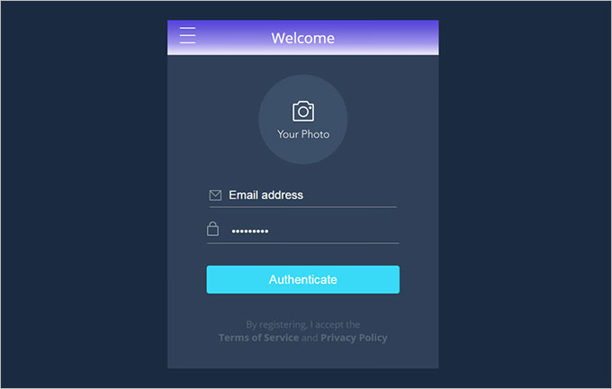 20+ Web Application Templates & Themes