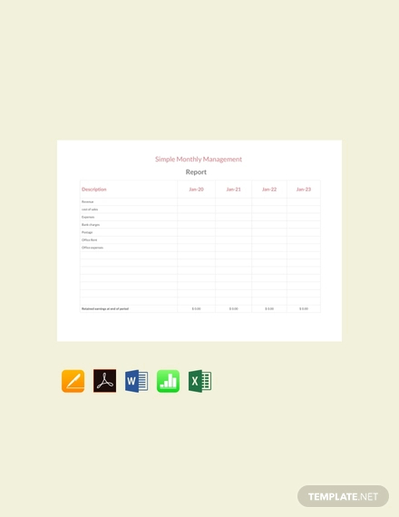 40+ Monthly Management Report Templates in PDF | Google Docs | Excel ...