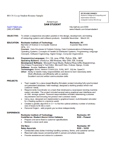 25+ Resume Templates for Freshers - PDF, DOC