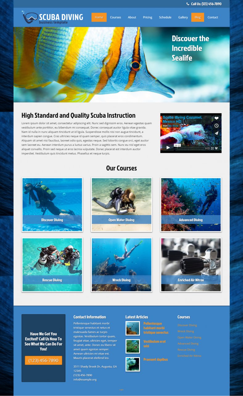 Diving WordPress Website Templates & Themes |Free & Premium