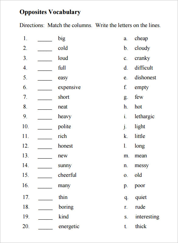 12+ Blank Vocabulary Worksheet Templates - Word, PDF