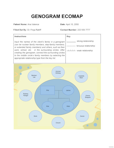 20+Ecomap Templates - DOC, PDF