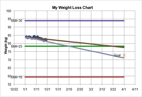 43+ Excel Chart Templates