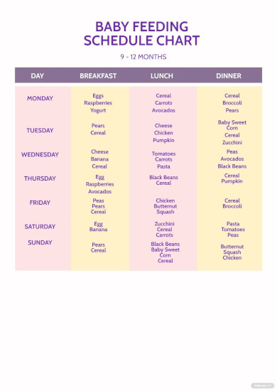 12+ Baby Schedule Templates- DOC, PDF, PSD
