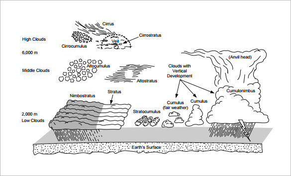 9+ Printable Cloud Templates Free Download! | Free & Premium Templates