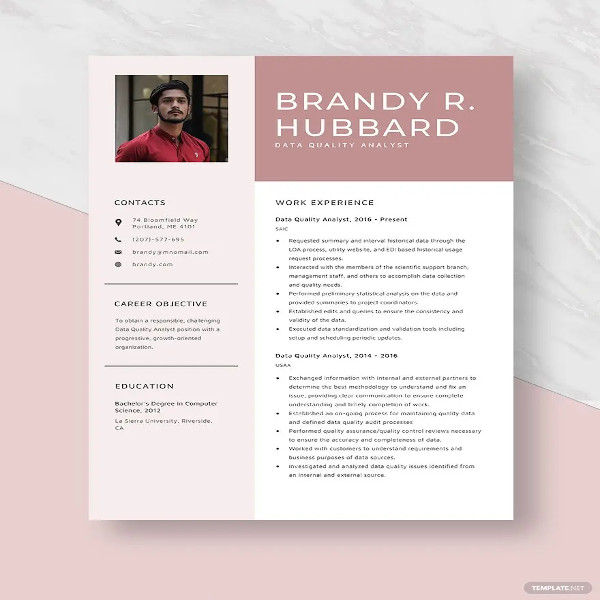Data Analyst Resume Template - 21+ Free Word, Excel, PDF Format Download!