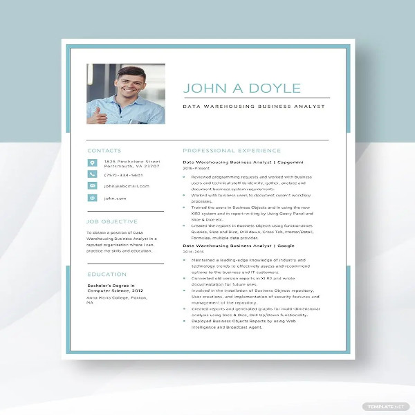 Data Analyst Resume Template - 21+ Free Word, Excel, PDF Format Download!