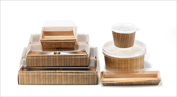 8+ Meal Box Templates