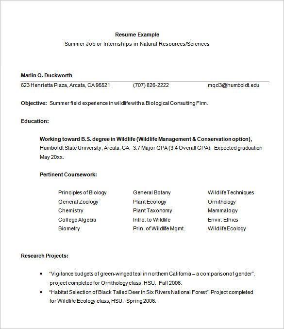 13+ Internship Resume Templates - PDF, DOC