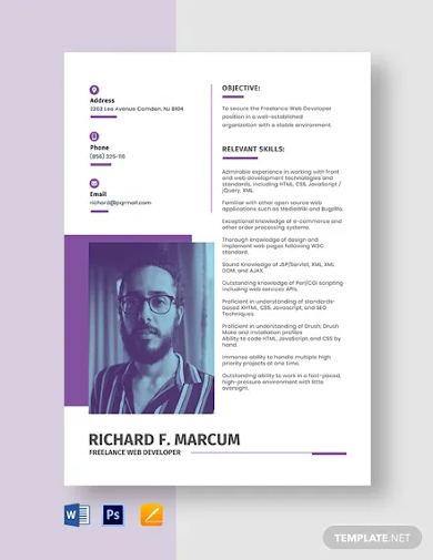 20+ Web Developer Resume Templates - DOC, PDF