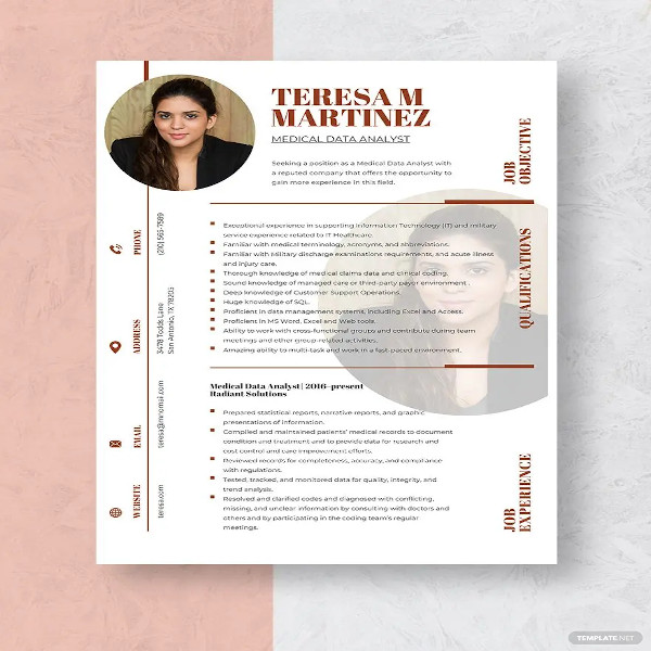 Data Analyst Resume Template - 21+ Free Word, Excel, PDF Format Download!