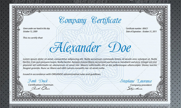 28+ Professional Certificate Templates - DOC, PDF