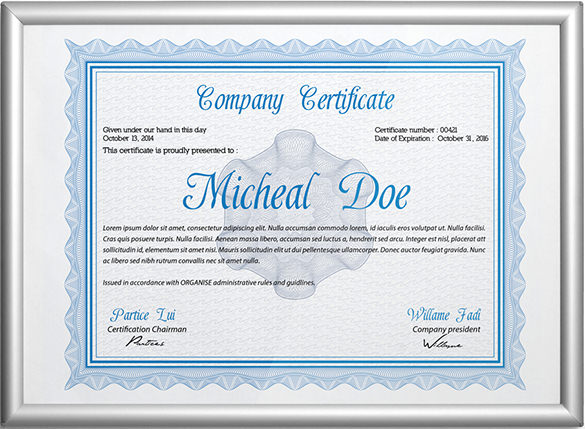 28+ Professional Certificate Templates - DOC, PDF
