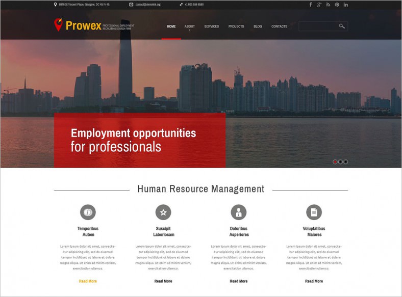 15+ Career/Job Portal WordPress Themes & Templates | Free & Premium ...