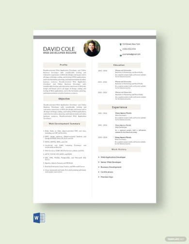 20+ Web Developer Resume Templates - DOC, PDF