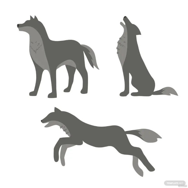 24+ Body Outline Templates - PDF, DOC