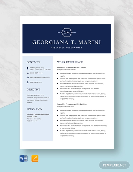 15+ Programmer Resume Templates - DOC, PDF