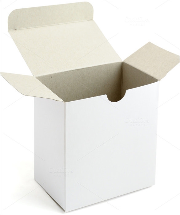 13 Cardboard Box Templates Mockups