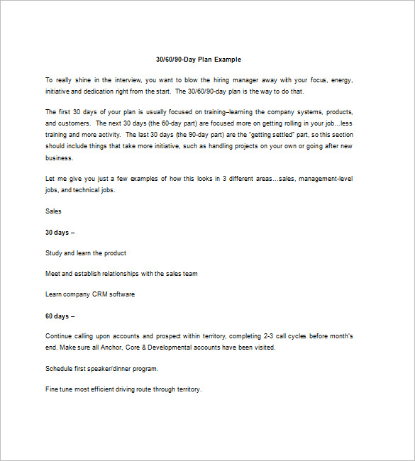 90 Days Business Plan Examples