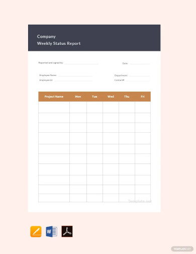 45+ Weekly Report Templates - DOC, Excel, PDF
