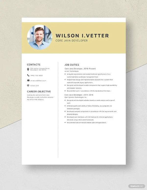 12+ Java Developer Resume Templates - DOC, PDF